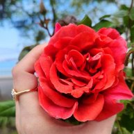 Иконка канала Мир и суперреклама