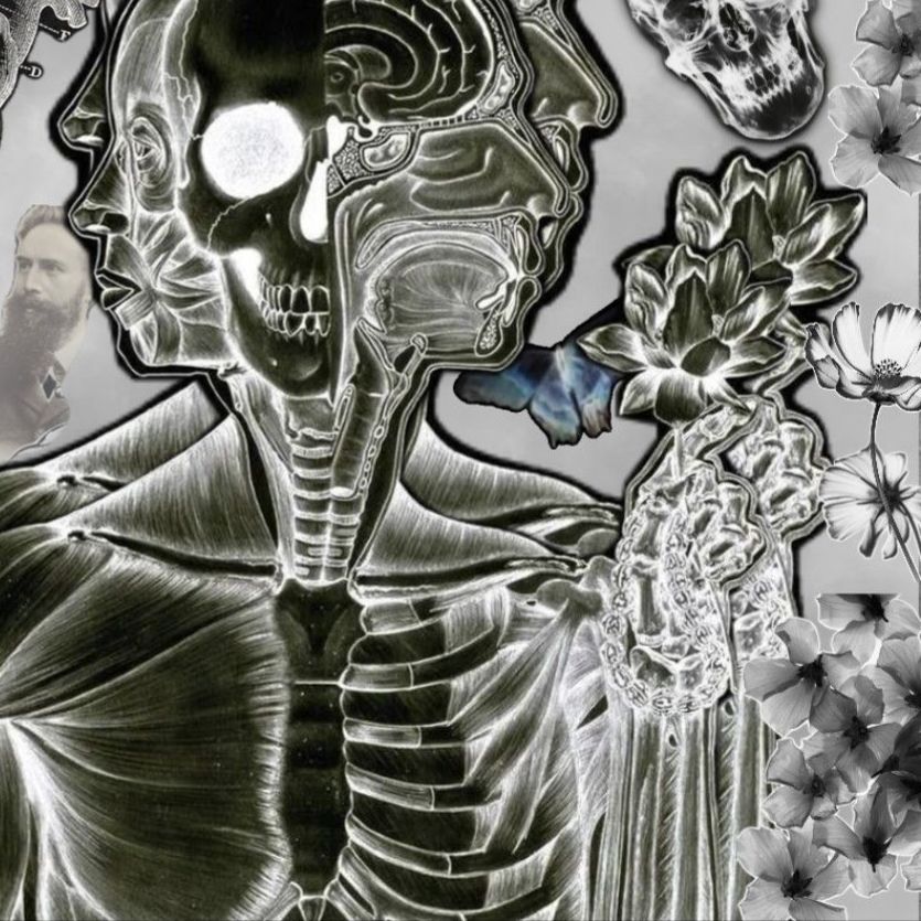 Иконка канала Radiologist's Bizarre Adventure