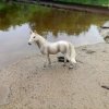Иконка канала Фигурки лошадей💖