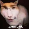 Иконка канала Дмитрий.