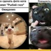 Иконка канала ENERGY BRO🤫🧏♂️