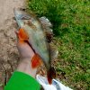 Иконка канала Рыбалка В России