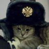 Иконка канала дошик