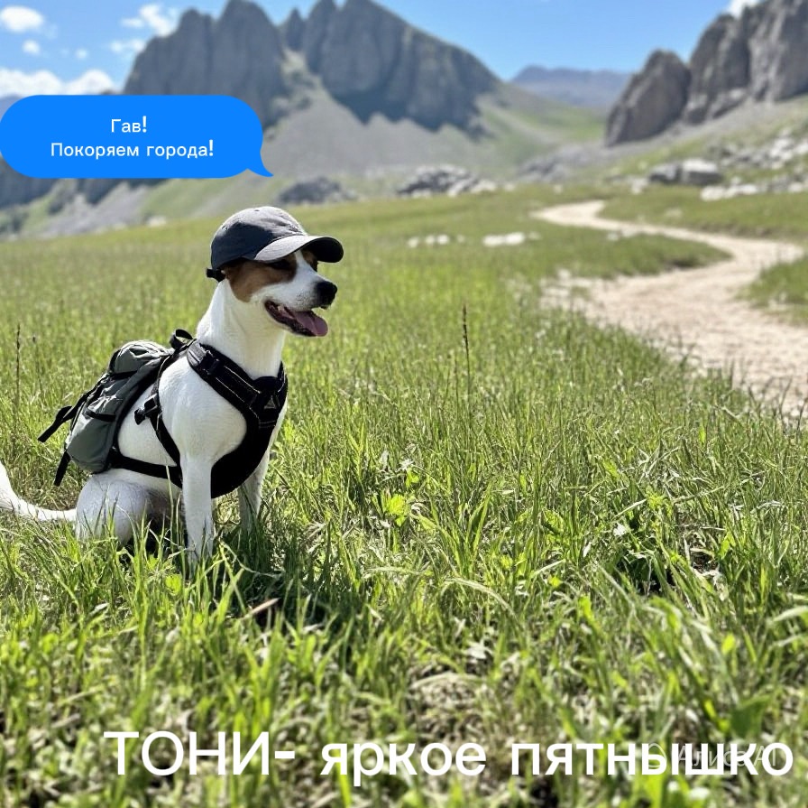 Иконка канала Путешествия с ТОНИ