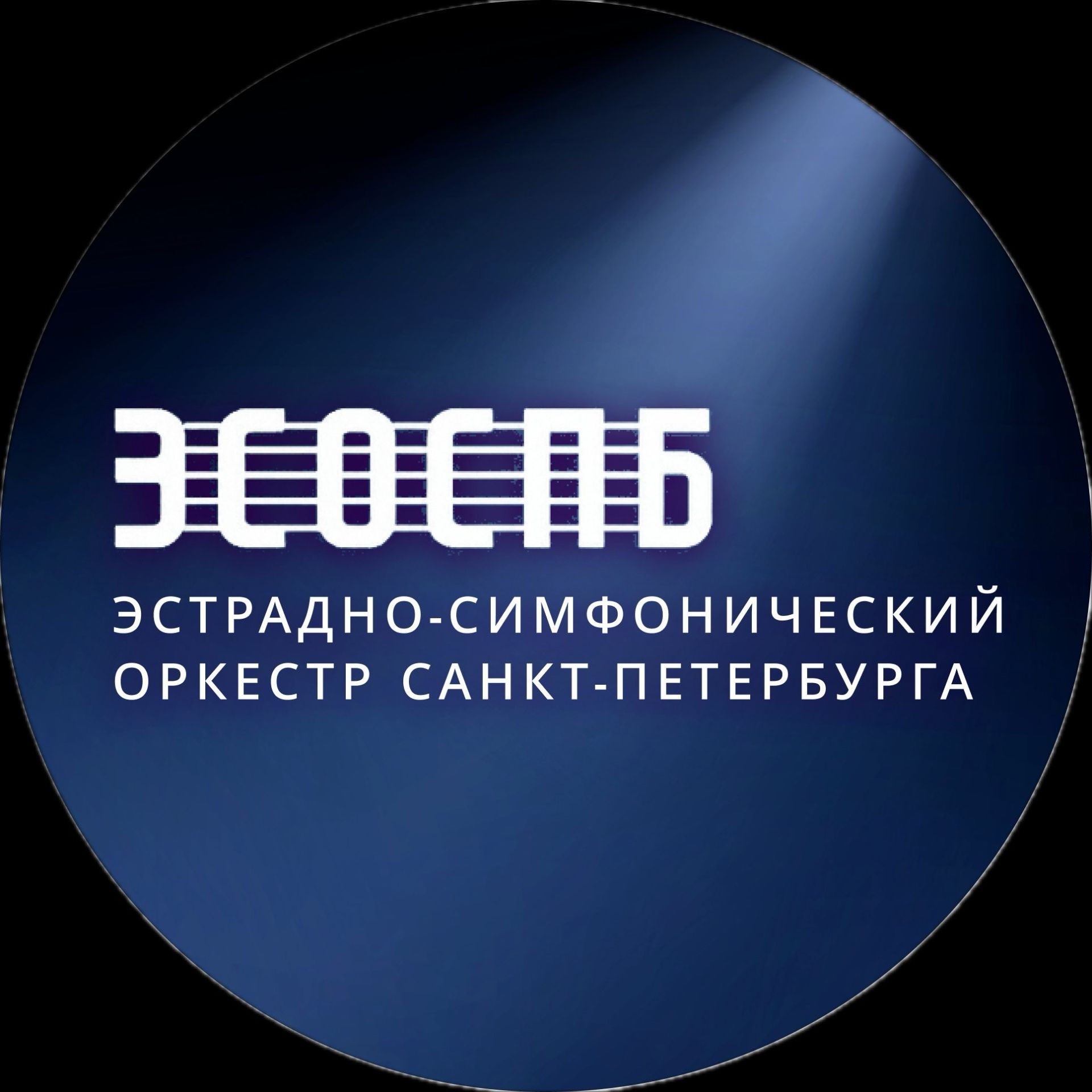 Иконка канала Эстрадно-симфонический оркестр Санкт-Петербурга