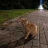 Иконка канала ★🫰_имо_🫰★