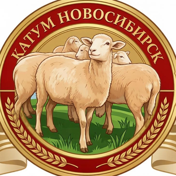 Иконка канала Новосибирск Катумские овцы