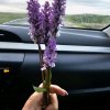 Иконка канала Кристина Романовна