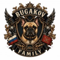 Иконка канала Bugakov family