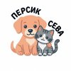 Иконка канала Собака Персик и кот Сева