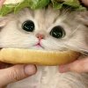 Иконка канала ArinaSawunya