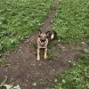 Иконка канала 🐶Собака-улыбака🐕