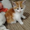 Иконка канала Паша Роблокс