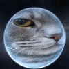 Иконка канала Приключения везунчика