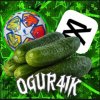 Иконка канала basketЭдut.ru