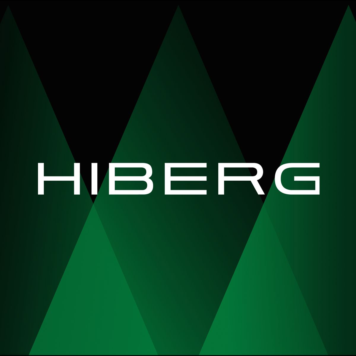 Иконка канала HIBERG