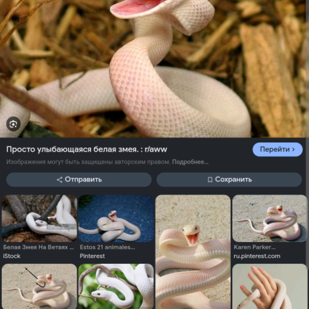 Иконка канала Гордик Тортик