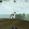 Иконка канала 🐾⭐Moon_Valley#Warrior_Cats🌙✨