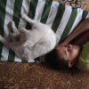 Иконка канала Котики