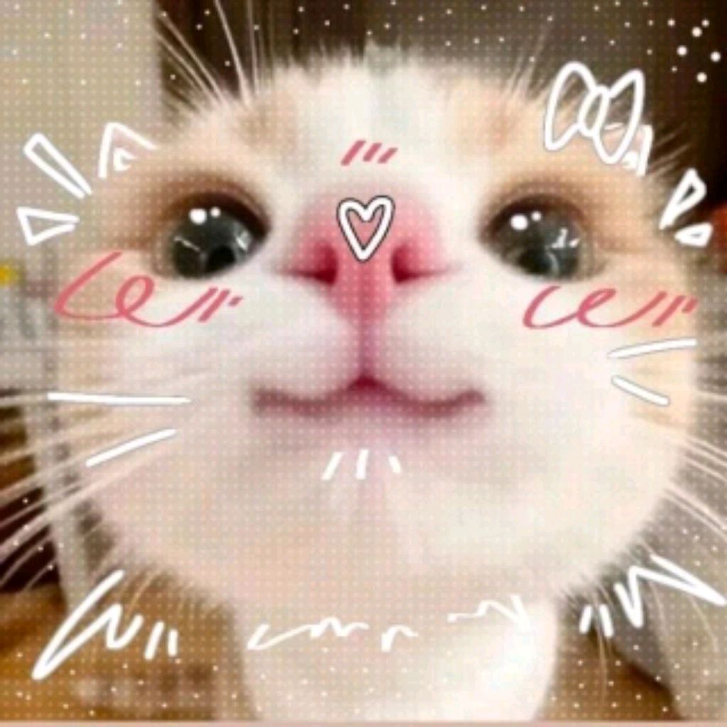 Иконка канала ❤️котёнок❤️