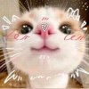 Иконка канала ❤️котёнок❤️