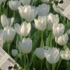 Иконка канала Таня мм2