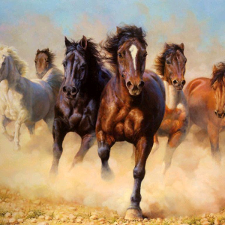 Иконка канала Horses And adventures🐴🐎🔥