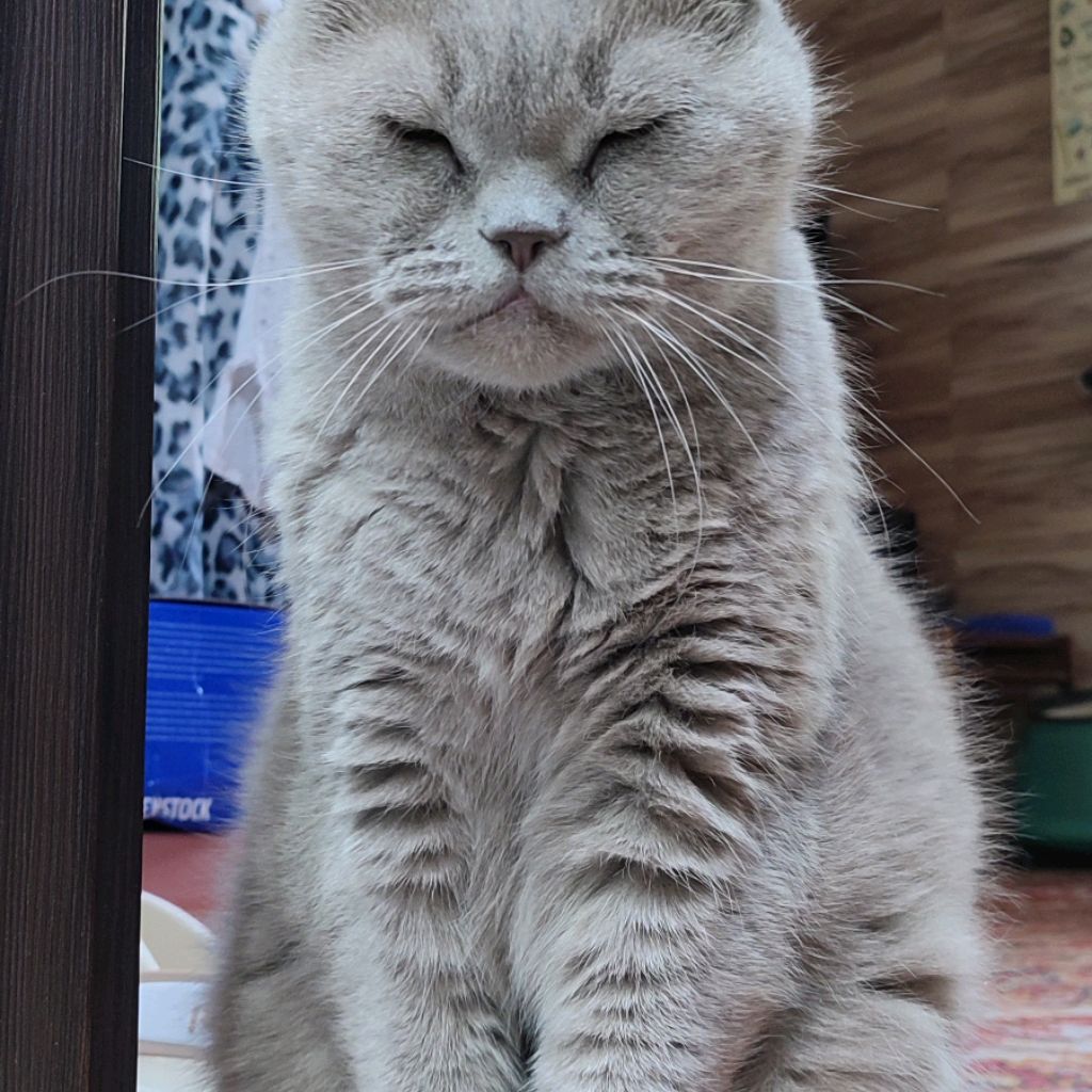 Иконка канала KAT_LEVYSHKA