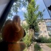 Иконка канала •{𝐒𝐧𝐢𝐜𝐤𝐞𝐫𝐬}•{пдб}