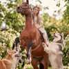 Иконка канала Лошади хай