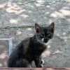 Иконка канала Арина 😺👩