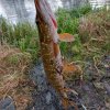 Иконка канала Про Рыбалку