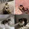 Иконка канала А я тут