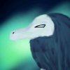 Иконка канала Polina TV The Cursed Isle and COS