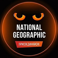 Иконка канала National Geographic