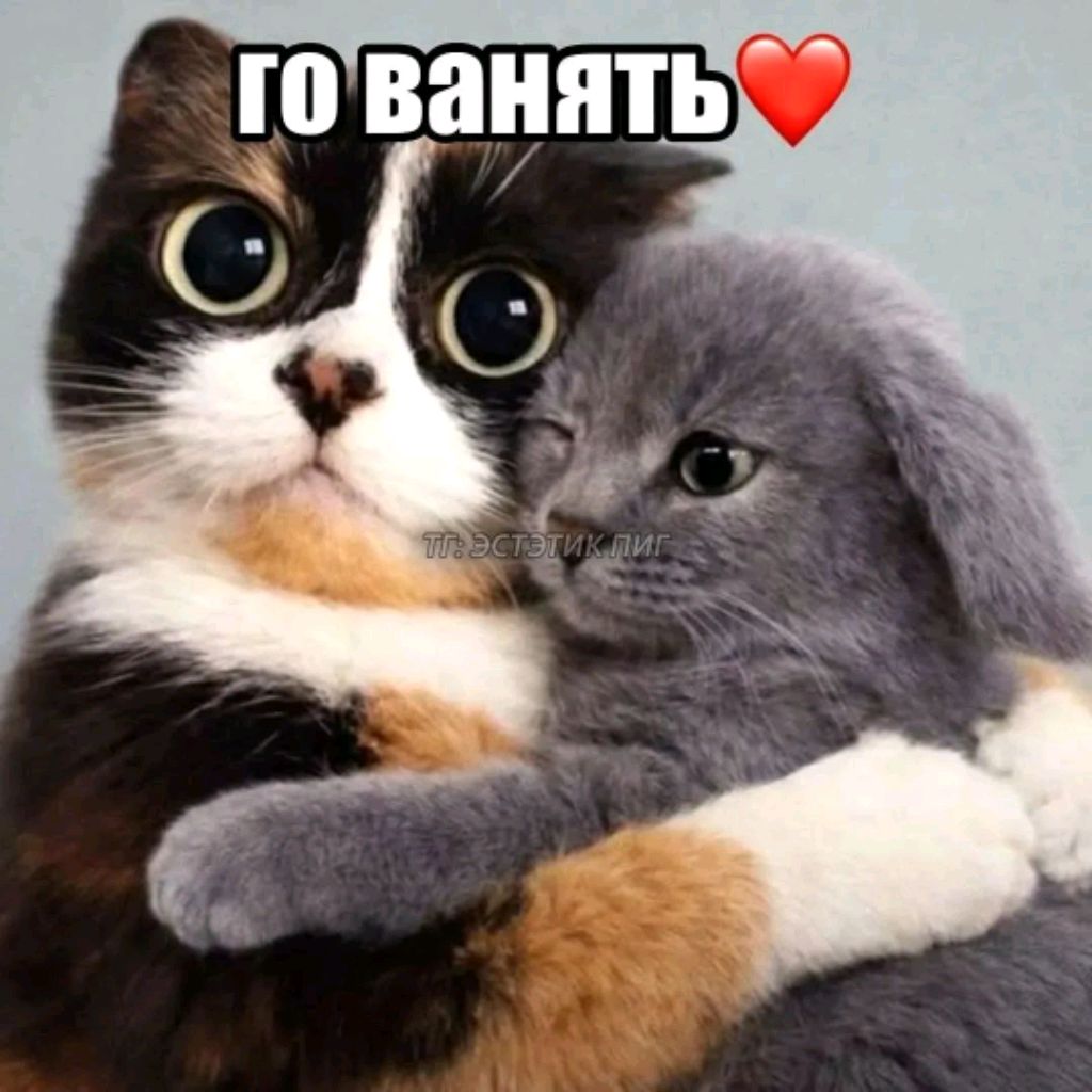 Иконка канала ♡♛Элька♛♡