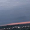 Иконка канала Профессионал Плей Дэйв  и перезаливы Майкрафт