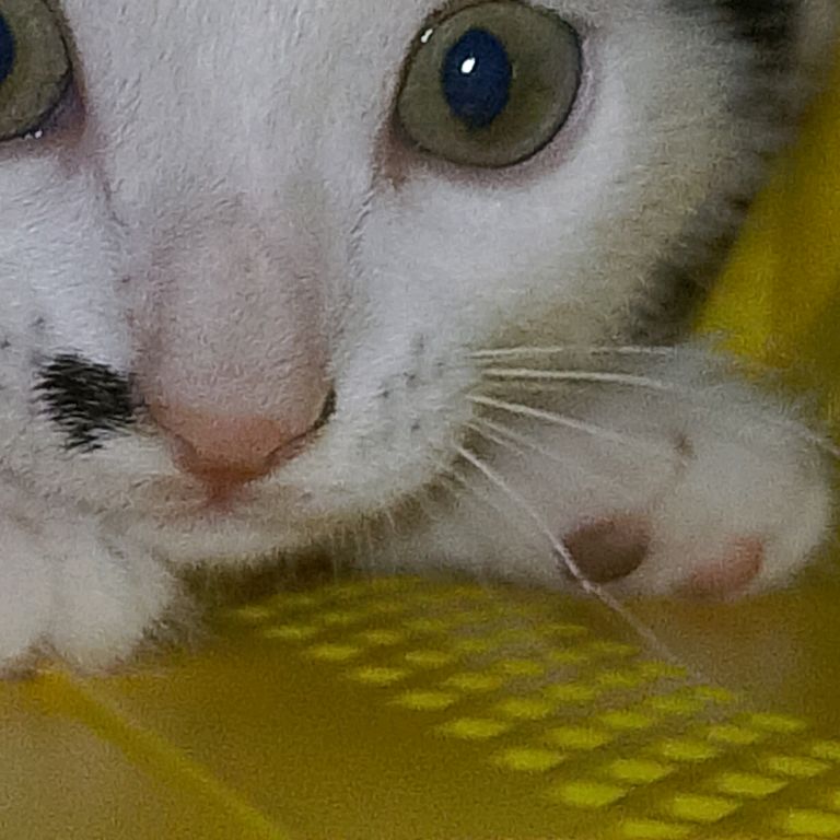 Иконка канала 💞😉sahl_nn😡😕