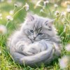Иконка канала Милка🐈‍⬛