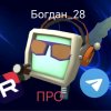 Иконка канала Богдан_28 Про