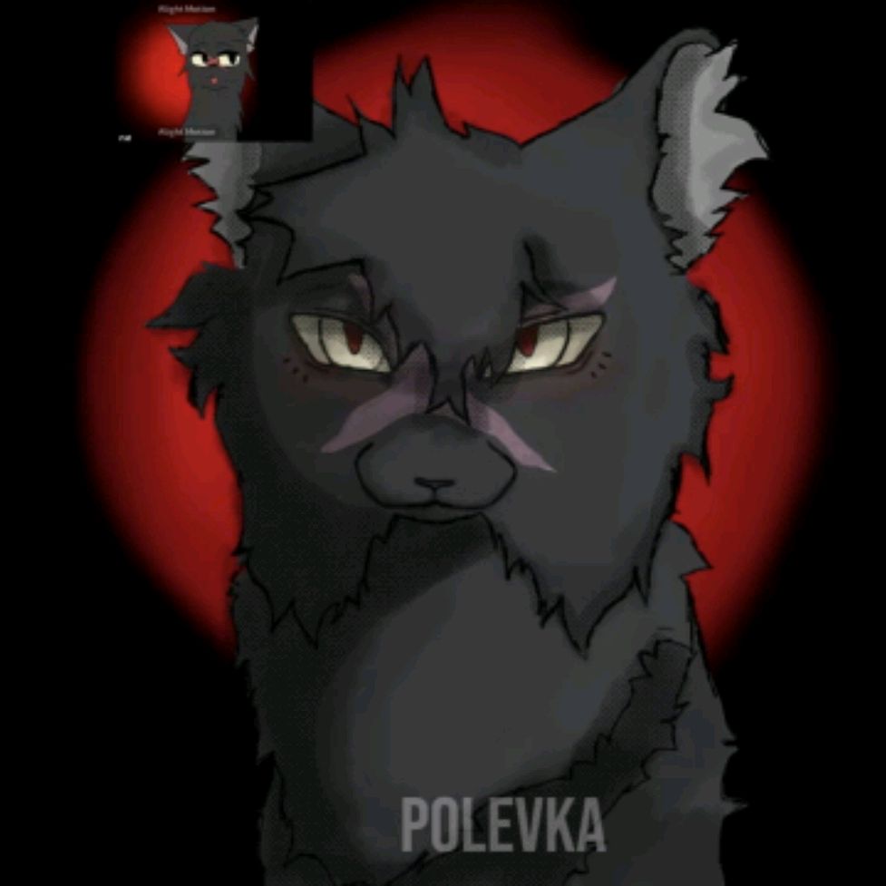 Иконка канала - ᴩуᴛ / 𝓕𝓪𝓻𝓻𝓮𝓵𝓵 ⍟