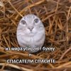 Иконка канала Окак......