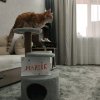 Иконка канала 🐾🐾MARSIK🐾🐾