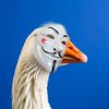 Иконка канала Тимоха Гусь За Жопу Кусь