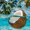Иконка канала 𝓞𝓻𝓮𝓼𝓱𝓴𝓸𝓿𝓪𝔂𝓪 𝓹𝓾𝓭𝓻𝓪 🌰🏝️