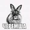 Иконка канала Черемша