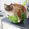 Иконка канала Meyer