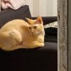 Иконка канала КОТОГЕЙМЕР 727