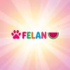Иконка канала 🐾 Felan 🍉