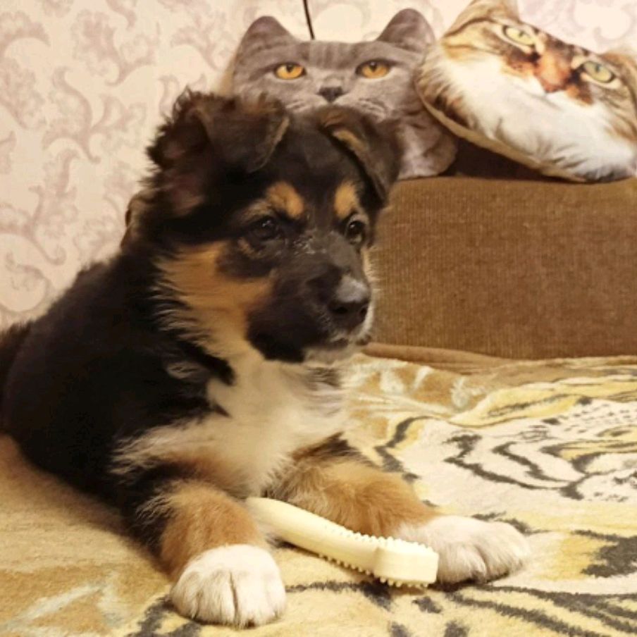 Иконка канала Банька😜